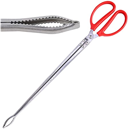 Multifunction crab eel shellfish tong 52cm stainless steel - JIGGLE ...